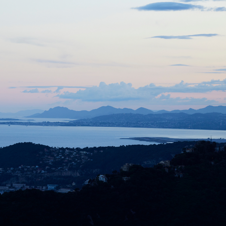 HAMA Rum – HAMA RUM